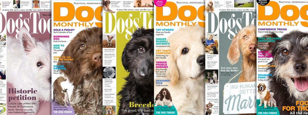 Dogs Monthly Magazine Subscription - We Are Brandshare